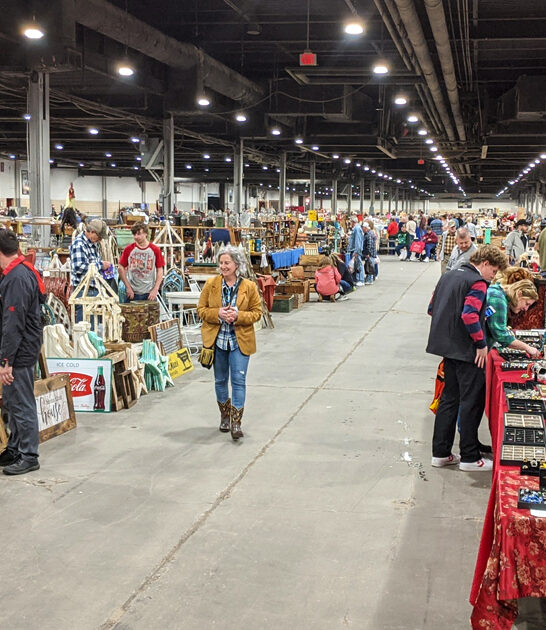 kentucky bazaars irresistible bargains ftr