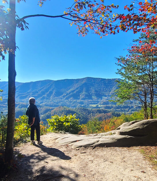 kentucky picturesque state park ftr