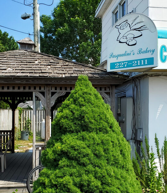 legendary donut shops delaware ftr