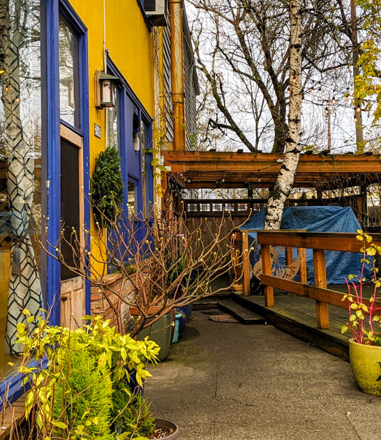 locals swear soup oregon ftr