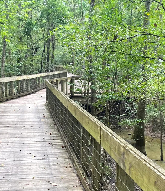 louisiana picturesque trail views ftr