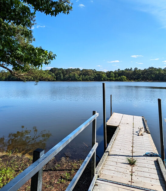 magical state park delaware ftr