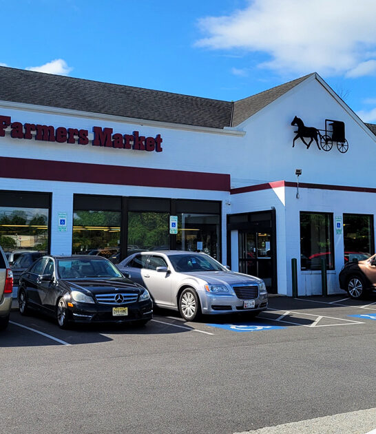 maryland amish delicious pretzels ftr