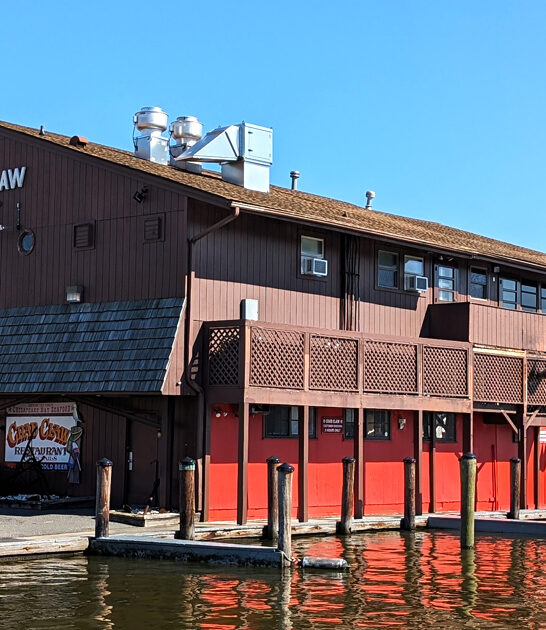 maryland crab cakes ftr