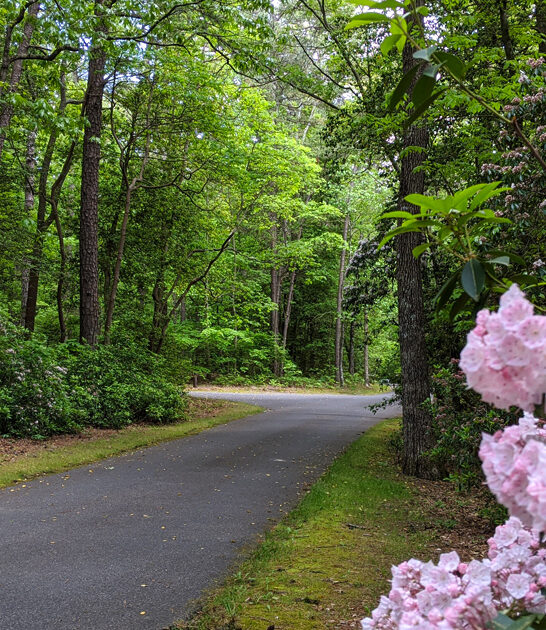 maryland park memorial day ftr