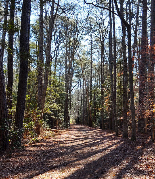 maryland solitude state park ftr