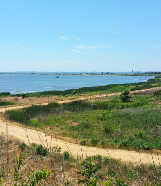 maryland springtime park escape ftr