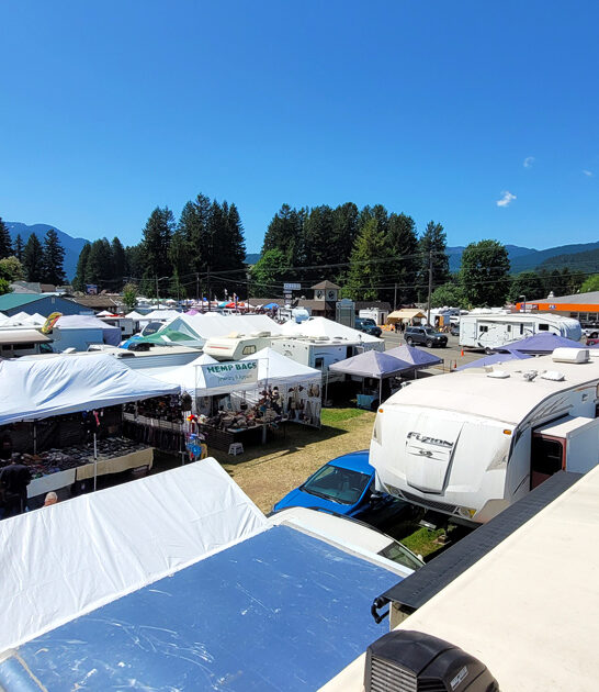 massive bargain bazaars washington ftr