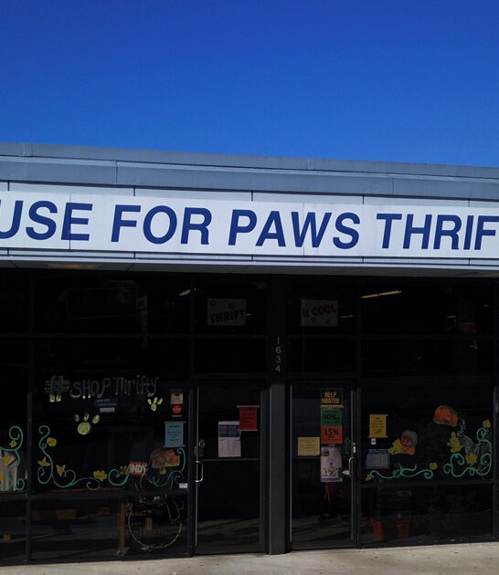 massive bargain north carolina ftr