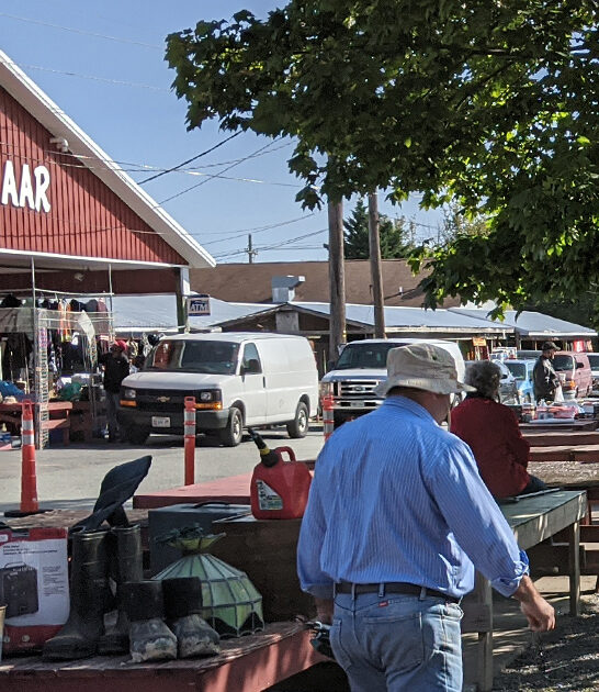 massive bazaar delaware ftr