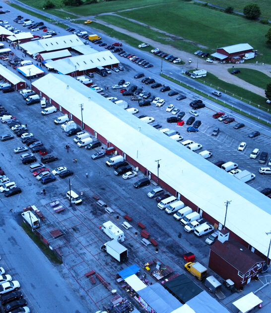 massive bazaars new jersey ftr