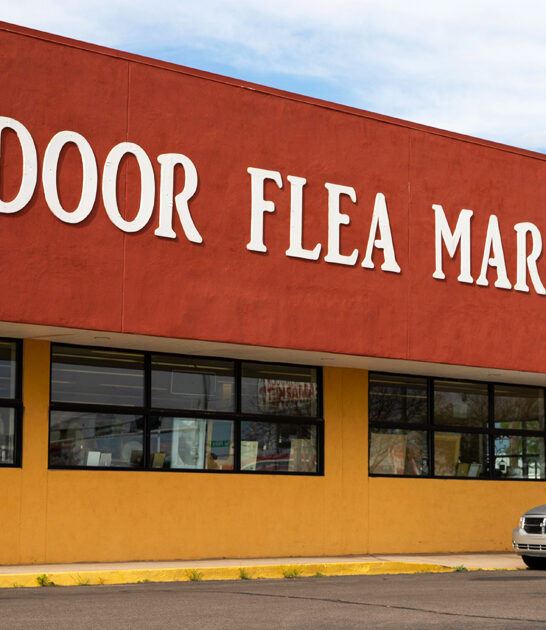 massive bazaars new mexico ftr