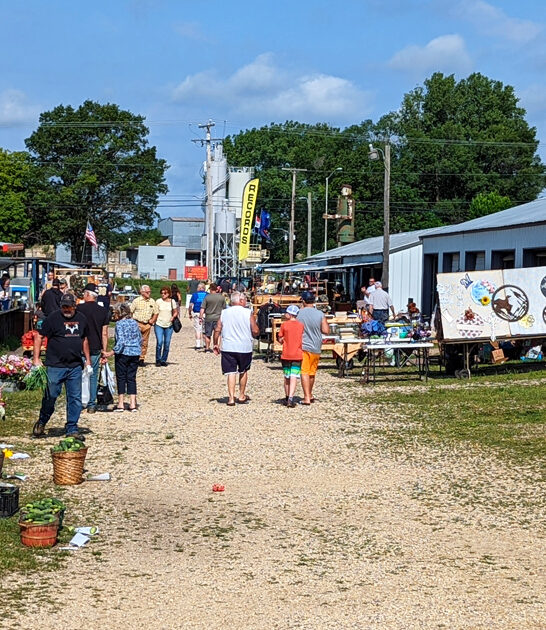 massive bazaars wisconsin ftr