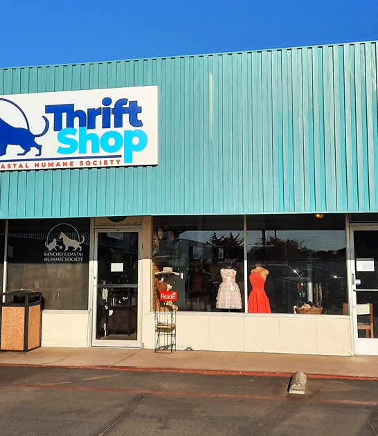 massive discount stores california ftr