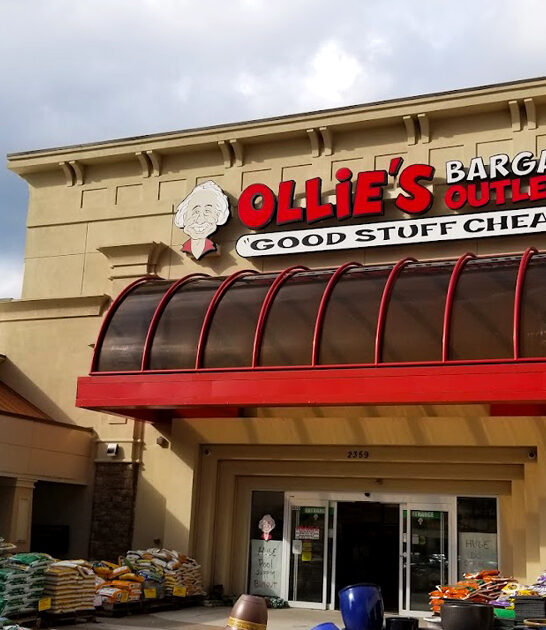 massive georgia discount store ftr