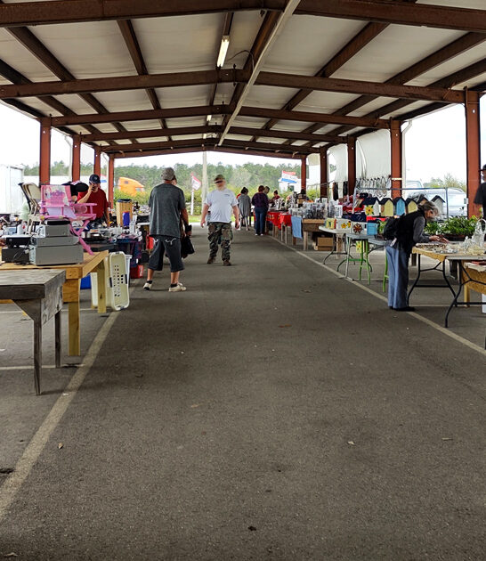 massive hunting treasures mississippi ftr