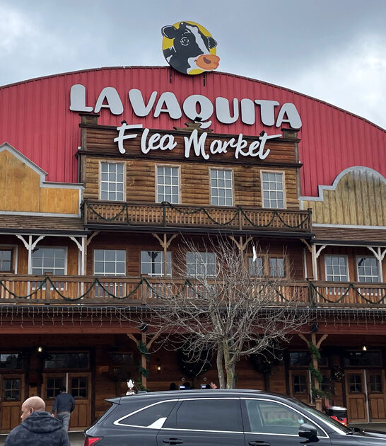 massive indoor bazaar georgia ftr