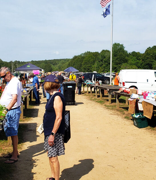 massive south carolina bazaars ftr