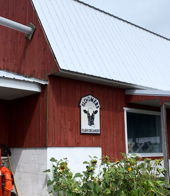 michigan dessert shop ftr