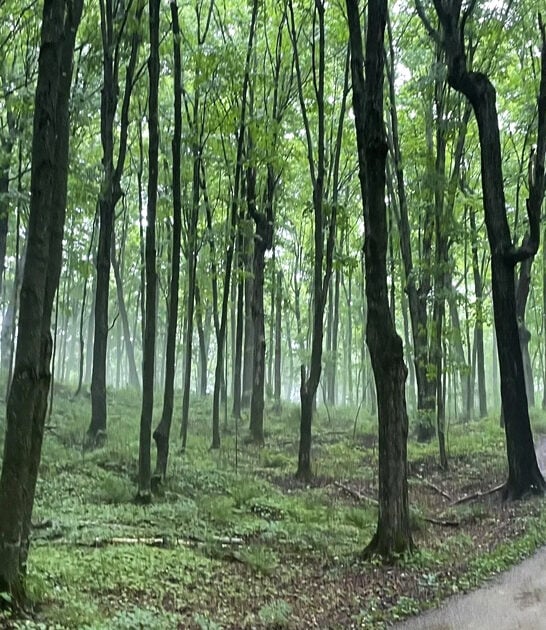 michigan hike picturesque trail ftr