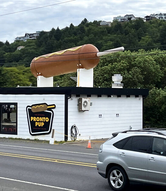 mighty hot dog oregon ftr