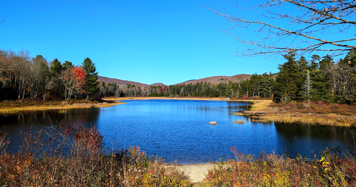 The Tiny But Mighty State Park In New Hampshire That’s Perfect For A ...
