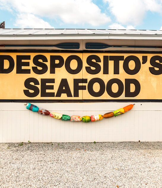 mighty seafood restaurant georgia ftr
