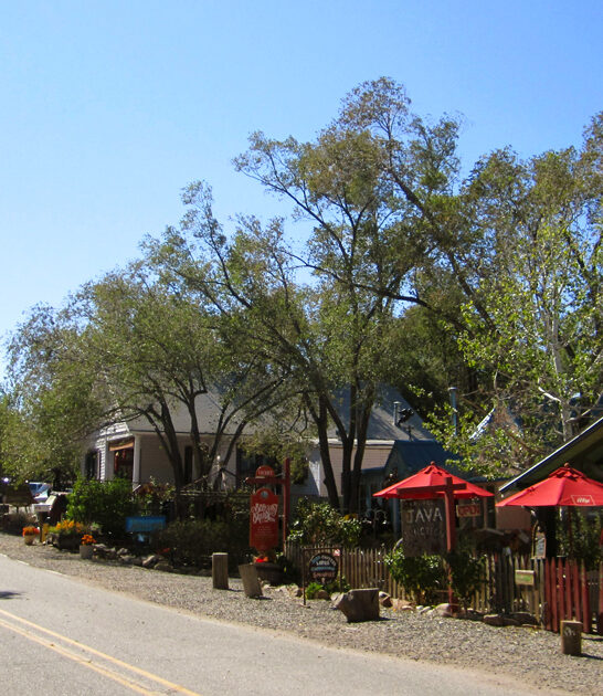 mighty town new mexico ftr