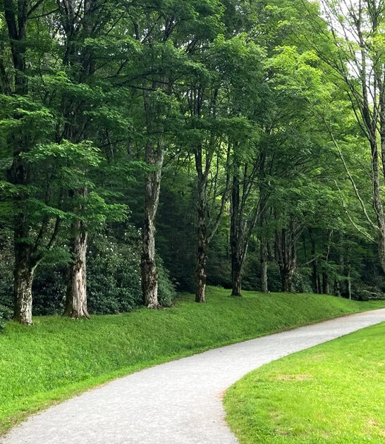 mile hike north carolina ftr