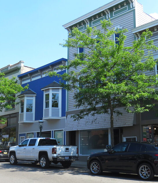 mini amish town michigan ftr