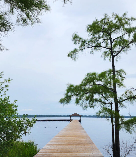 mini park north carolina ftr