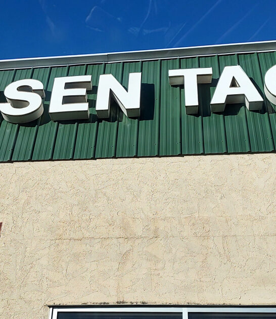 minnesota thrift good bargains ftr