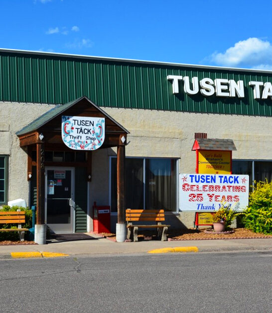 minnesota thrift spring bargains ftr