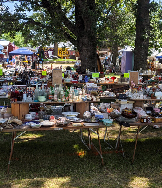 minnesota trips massive bazaars ftr