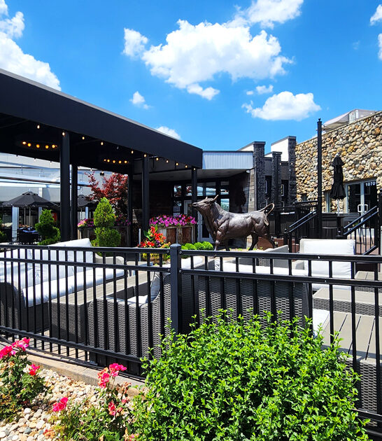 missouri delicious ribeye steak ftr