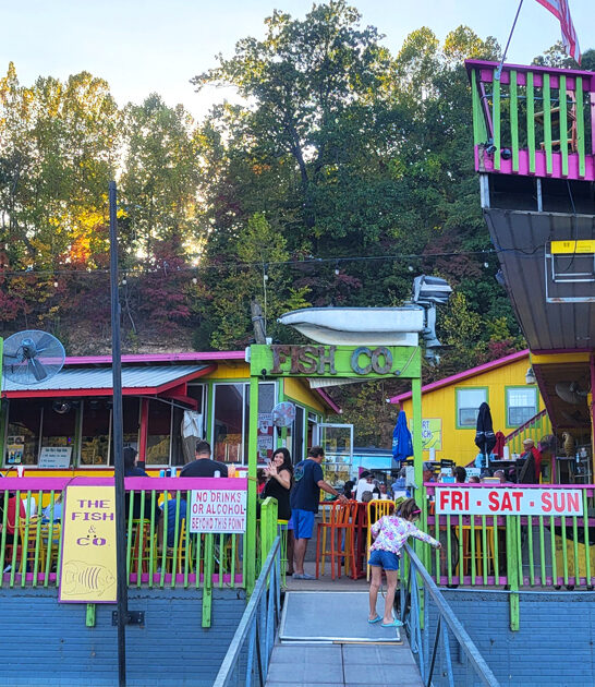 missouri fish sandwich dreams ftr