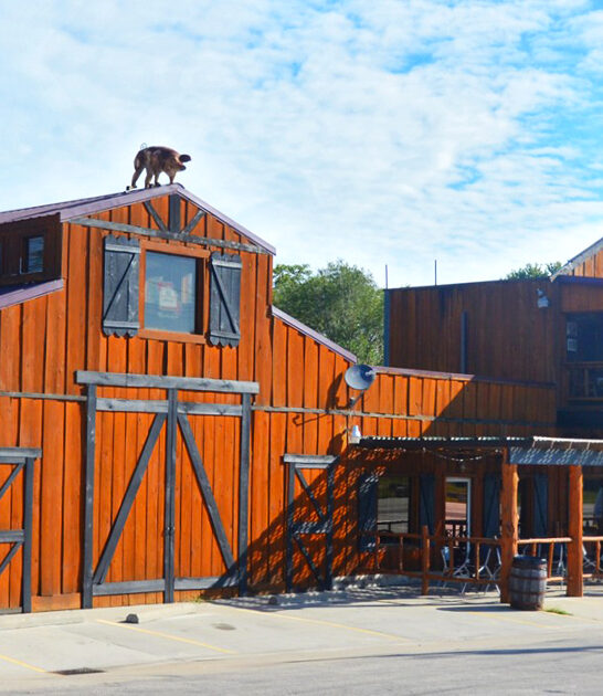 missouri outrageously delicious ribs ftr