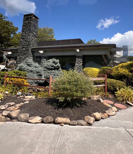 mothers day steak tennessee ftr