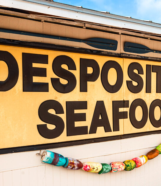 mouth watering seafood georgia ftr