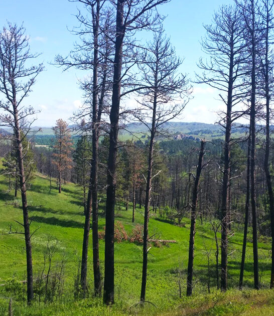 nebraska picturesque trail ftr