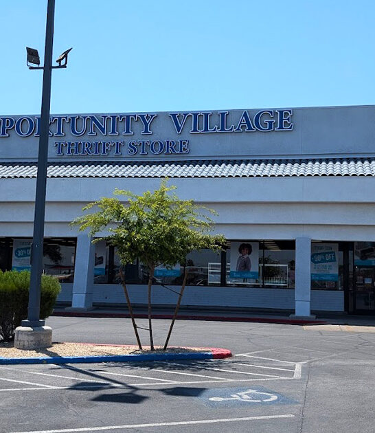 nevada gigantic thrift store ftr