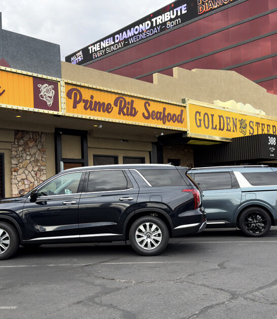 nevada legendary ribeye steaks ftr