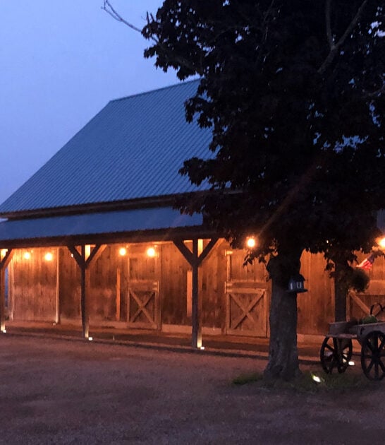 new hampshire root beer ftr