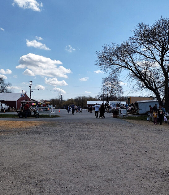 new jersey massive bazaars ftr