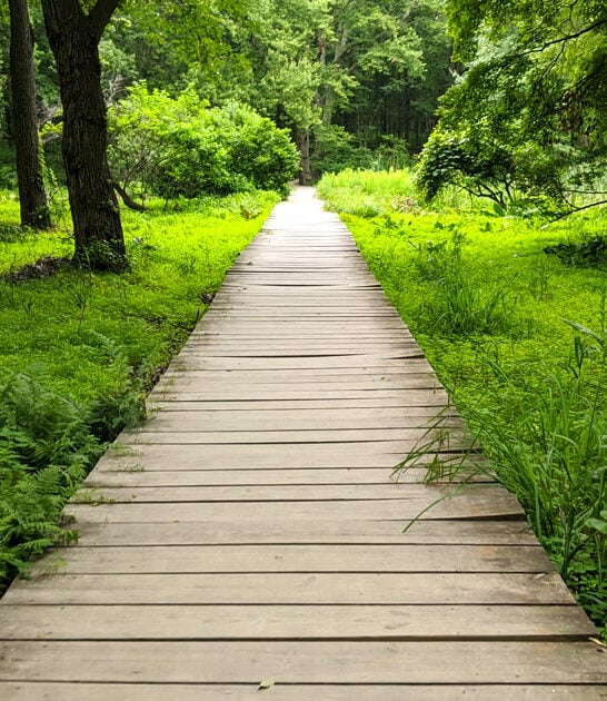new jersey underrated parks ftr