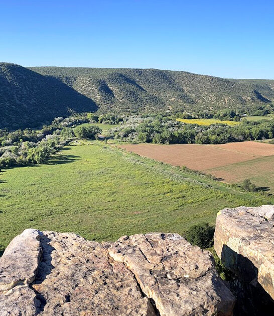 new mexico beautiful park ftr