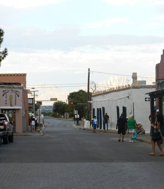new mexico best food ftr