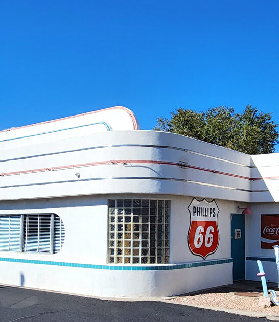 new mexico delicious diners ftr