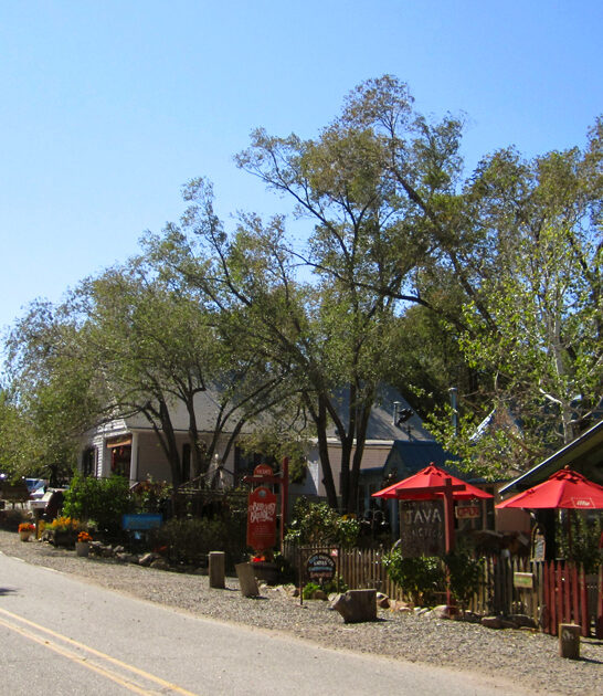 new mexico underrated town ftr