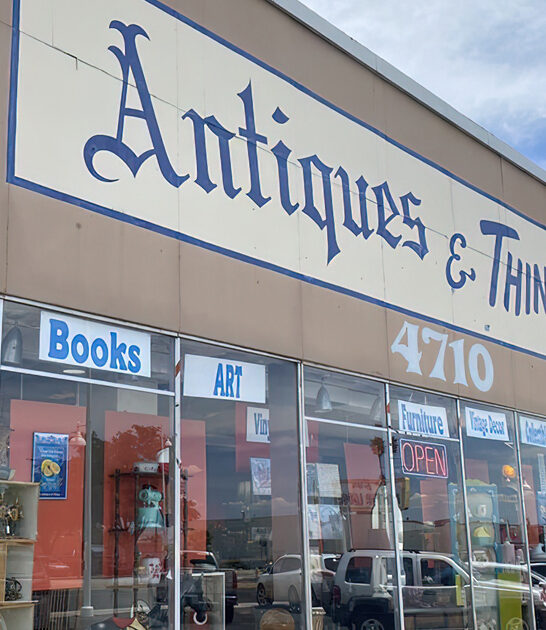 new mexico vintage store ftr